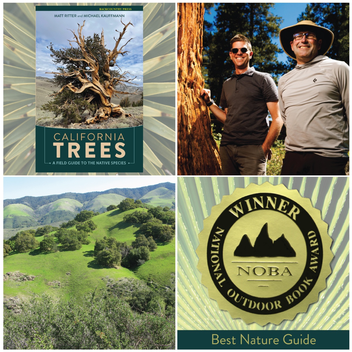 California Trees Wins National Outdoor Book Award